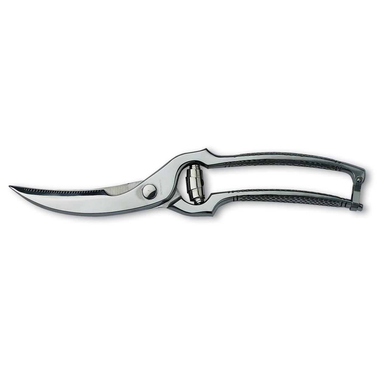 Poultry Shears S/S W/Barrel Spring Victorinox - Hospitality Superstore
